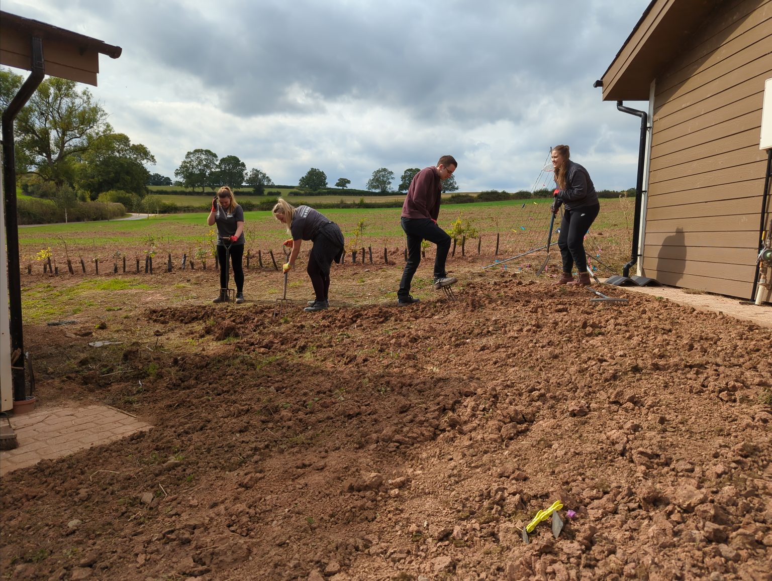 Lending a helping hand at Willowdene Rehabilitation - Aico